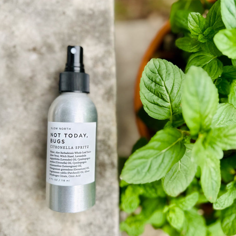 Not Today, Bugs - Bug Spray – Slow North