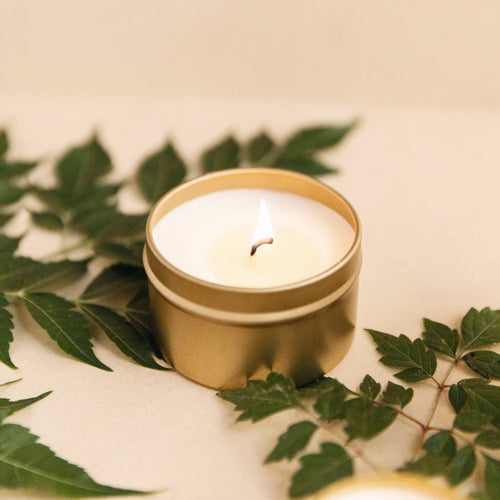 Forest Bathing Soy Essential Oil Travel Candle by Slow North